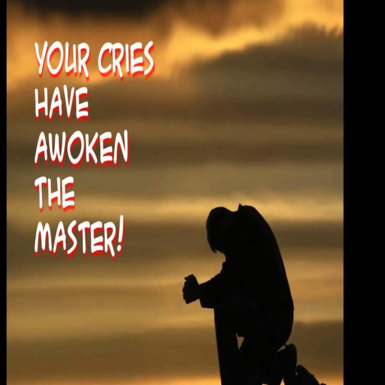 Your Cries Have Awoken The Master - Fellowship Baptist Church